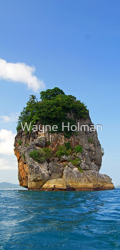 «Vista Rock » de Wayne Holman | Redbubble
