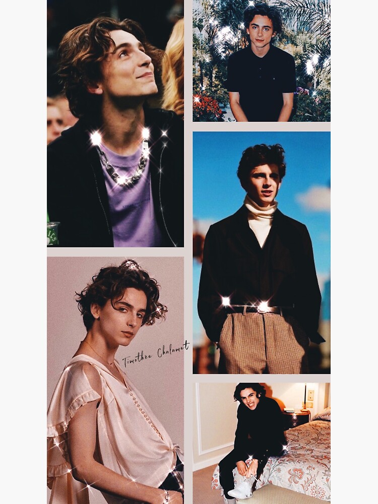"Timothée Chalamet collage" Sticker for Sale by Jrnzf | Redbubble