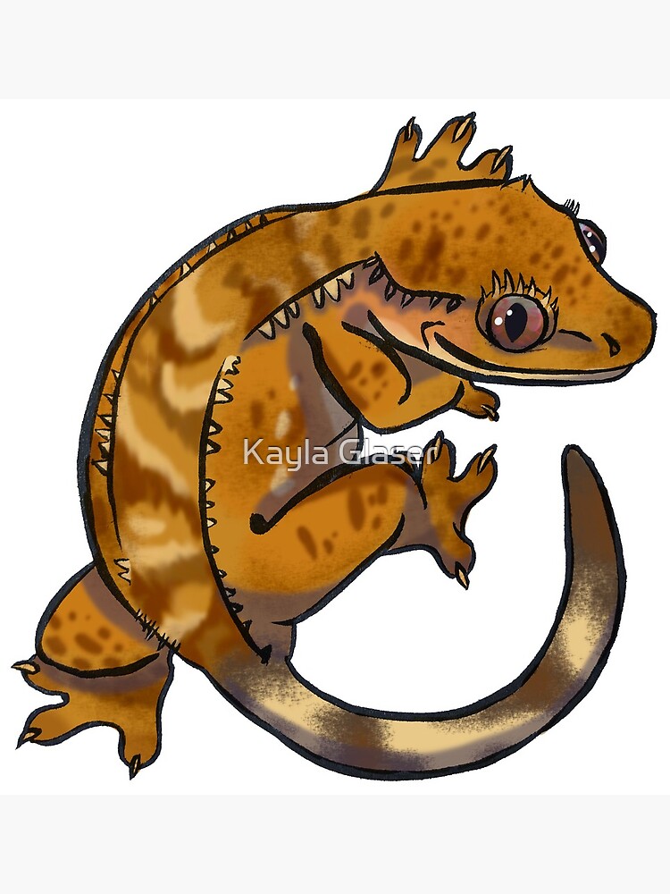 "Crested Gecko Patternless • Digital Cartoon" Photographic Print for ...