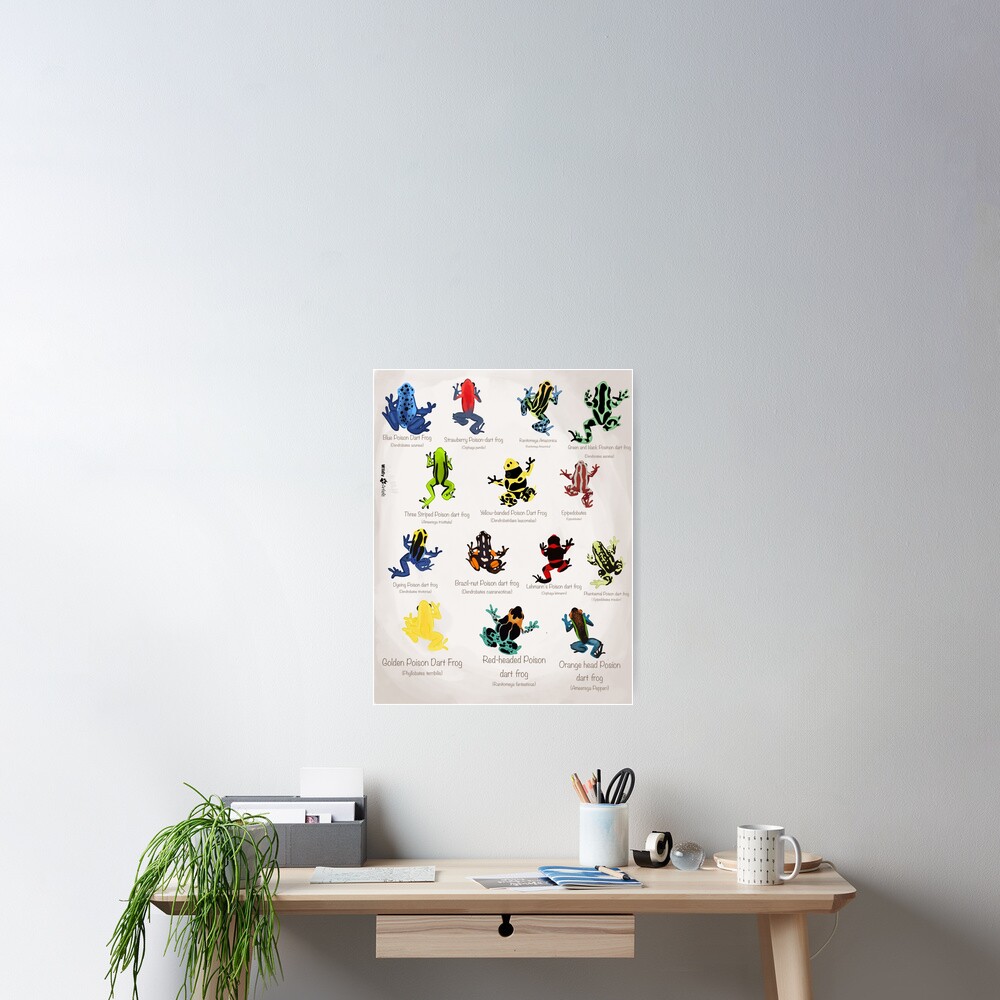 "Poison Dart Frog guide" Poster for Sale by WildlyArtistic | Redbubble