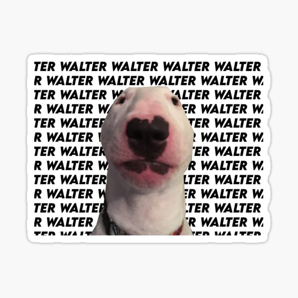 Walter Dog Gifts & Merchandise | Redbubble