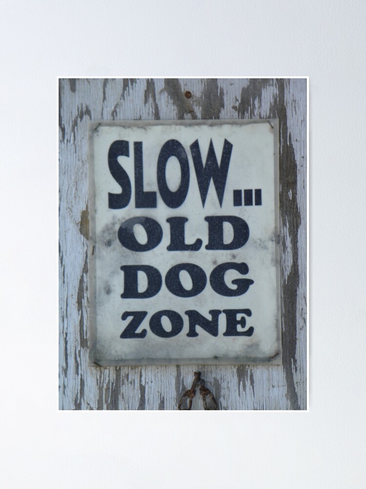 "Slow - Old Dog Zone" Poster for Sale by BettyEDuncan | Redbubble