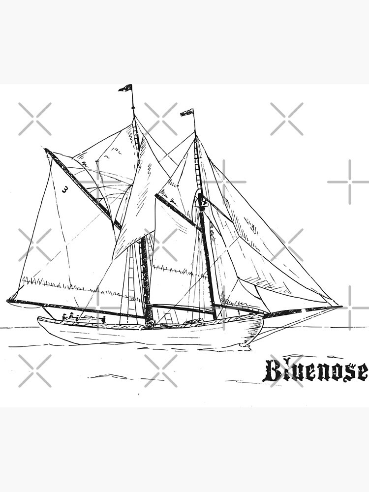 "Bluenose (Sketch)" Poster for Sale by TheLostBreton | Redbubble
