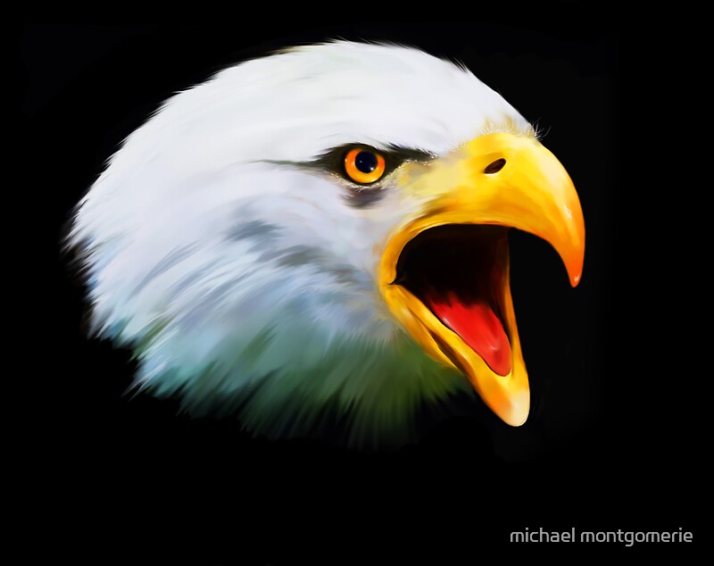 "Screaming Eagle" by michael montgomerie | Redbubble