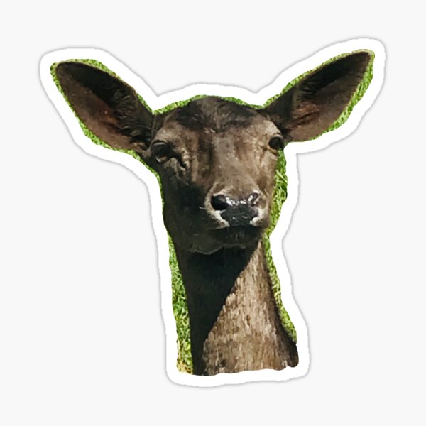 "Deeeeeeer" Sticker for Sale by Texasgirl1 | Redbubble