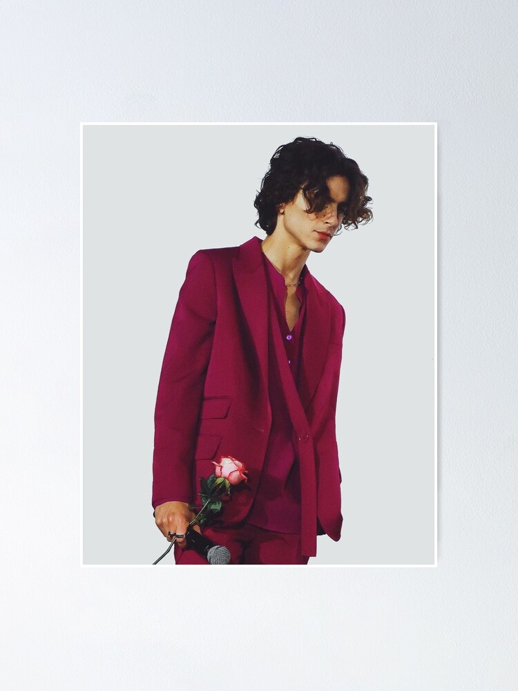 "Timothee Chalamet" Poster for Sale by Amaniquem | Redbubble