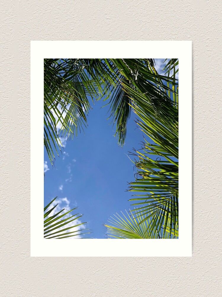 "Sky throw the palm tree" Art Print by maloushkina | Redbubble