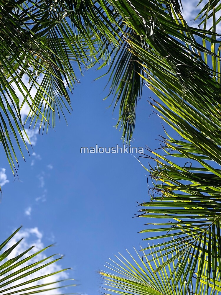 "Sky throw the palm tree" Art Print by maloushkina | Redbubble