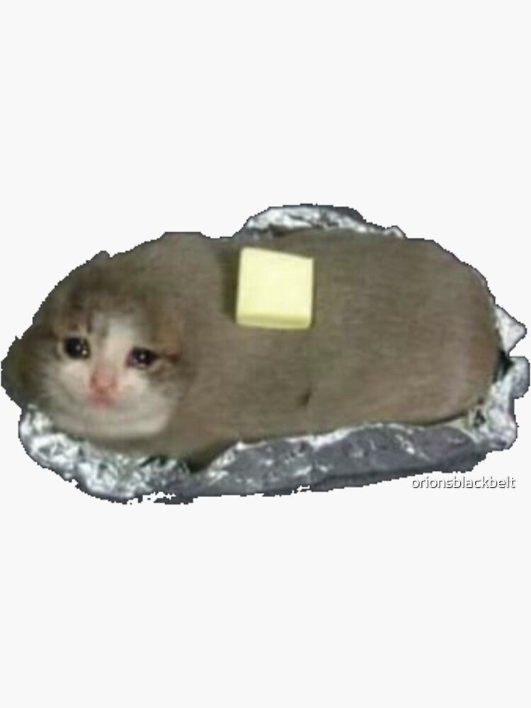 "sad potato cat" Sticker by orionsblackbelt | Redbubble