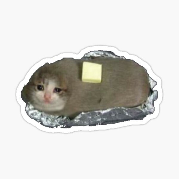 "sad potato cat" Sticker by orionsblackbelt | Redbubble