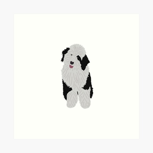 Sheepadoodle Wall Art | Redbubble