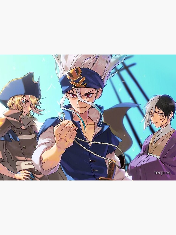 "Dr Stone Pirates" Poster by terpres | Redbubble