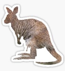 Kangaroo: Stickers | Redbubble