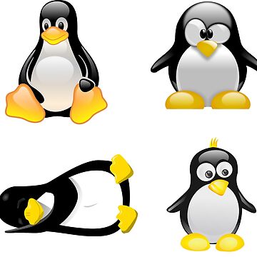 "Linux Penguin Art" Sticker for Sale by Skillers3 | Redbubble