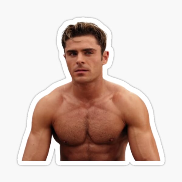 Zac Efron Stickers | Redbubble