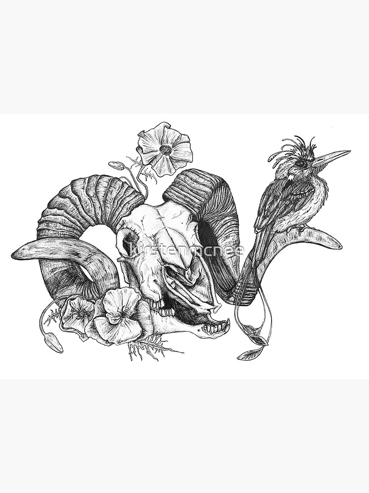 "The Ram skull and bird" Art Print by kirstenmcnee | Redbubble