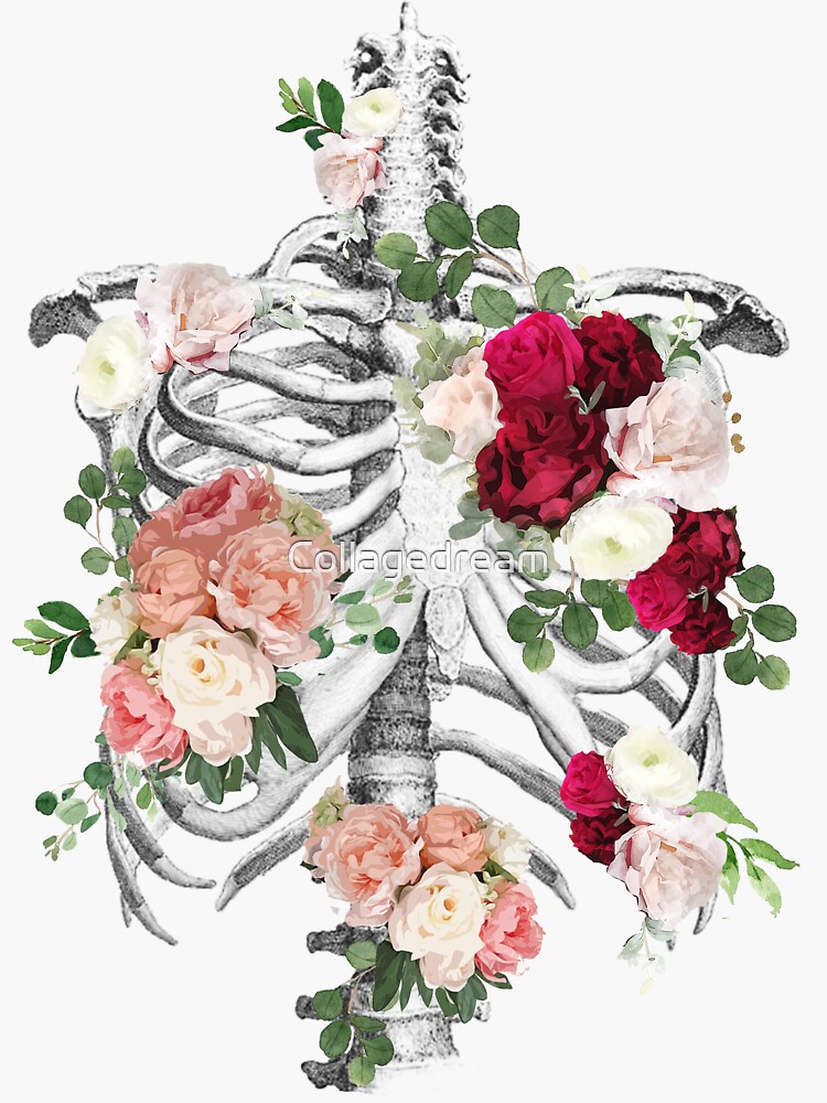 "Anatomy, ribcage, rib cage,roses bloom spring" Sticker for Sale by ...