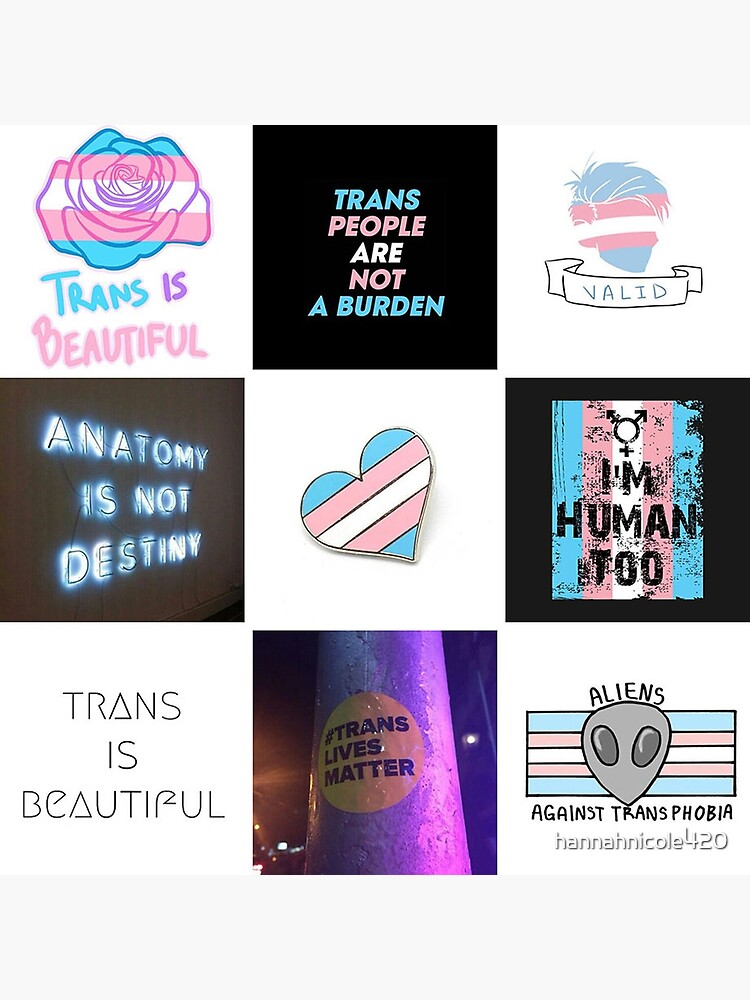 "transgender pride aesthetic" Poster by hannahnicole420 | Redbubble