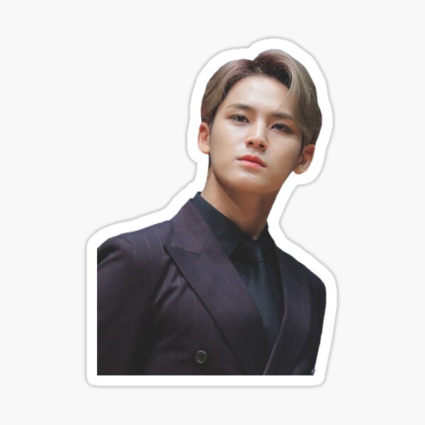 "SEVENTEEN Mingyu" Sticker for Sale by holandmol | Redbubble