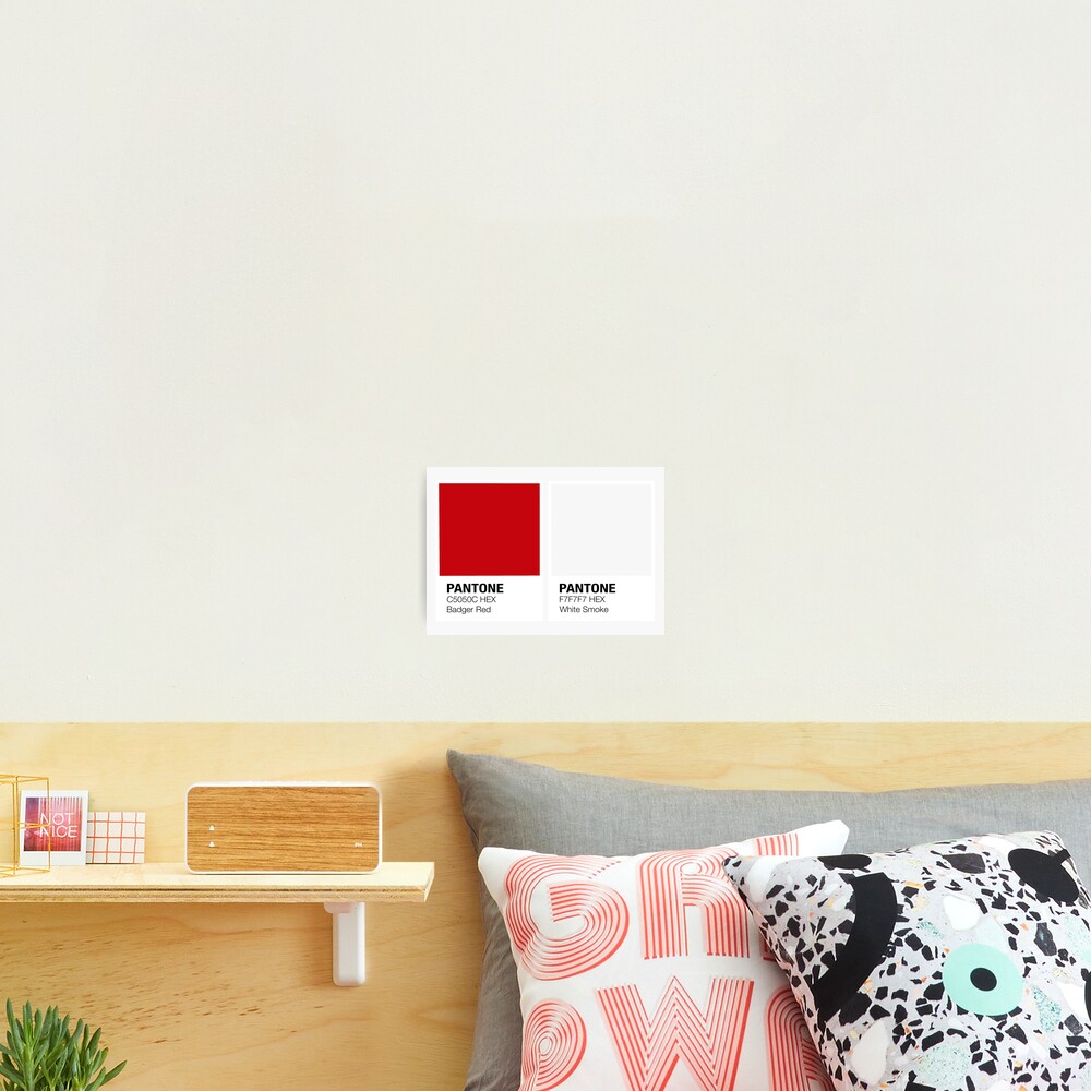 "Red and White Pantone" Poster for Sale by ec0naway | Redbubble