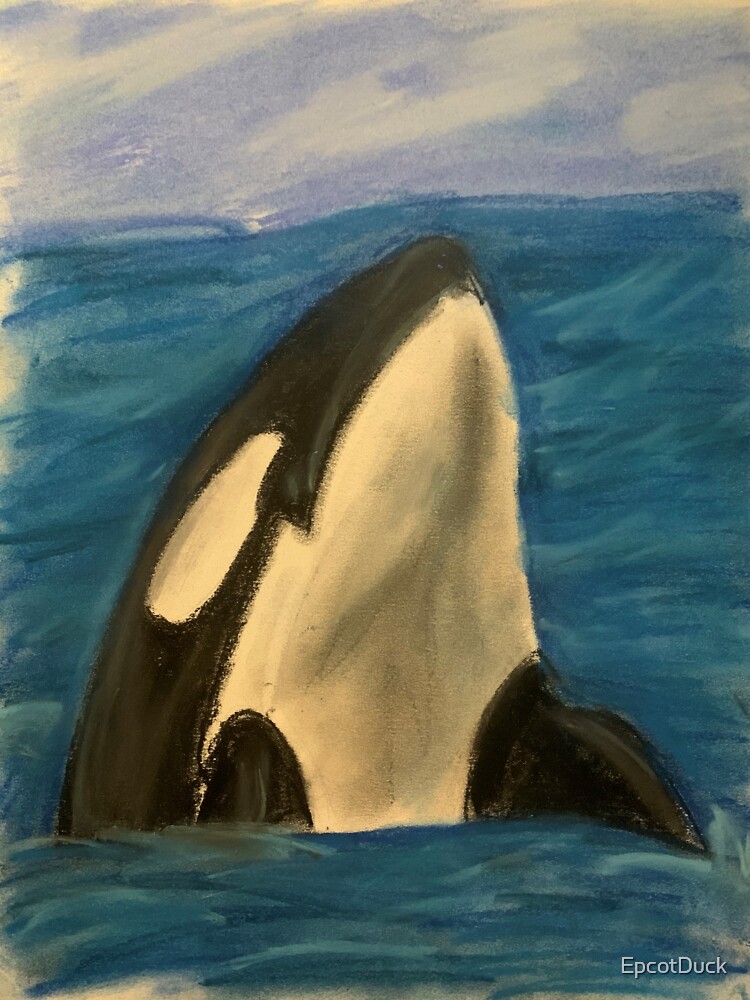 "Hello Orca" Sticker by EpcotDuck | Redbubble