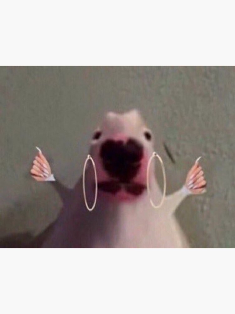 "periodt dog meme" Sticker for Sale by Jeangel97 | Redbubble