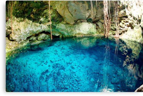 "mexican cenote" Canvas Print by dubassy | Redbubble