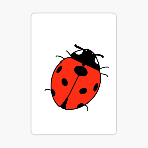 "Ladybird " Sticker by Aoifemullen | Redbubble