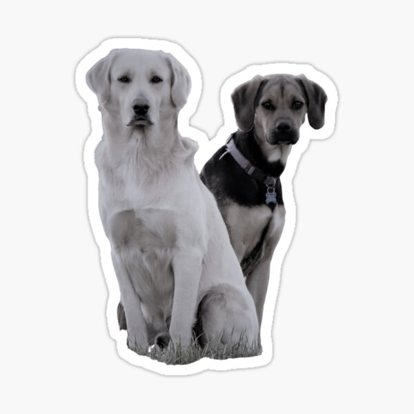 "Best Doggie Friends" Sticker for Sale by AllisonNpod | Redbubble