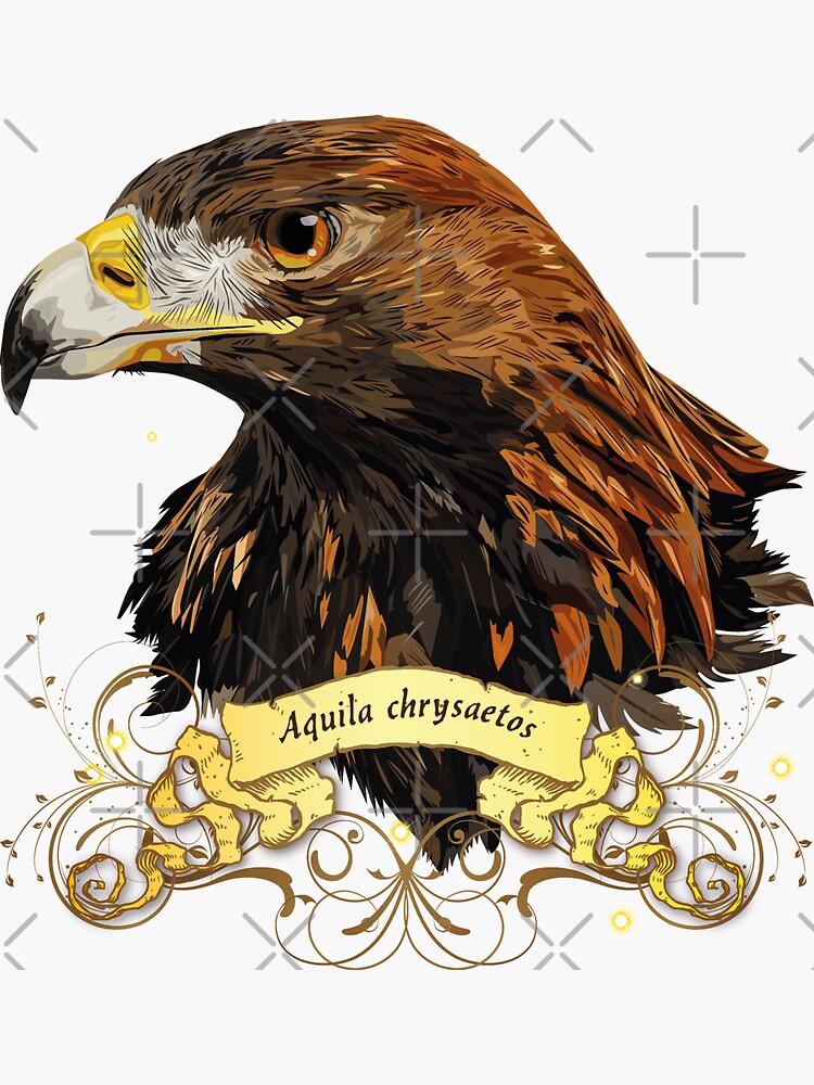 "Golden Eagle" Sticker for Sale by obscurite | Redbubble
