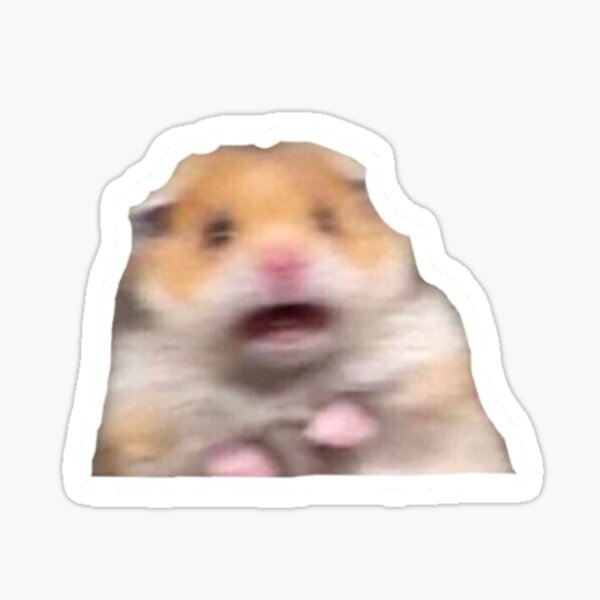 "Hamster meme sticker" Sticker by alotterer7 | Redbubble