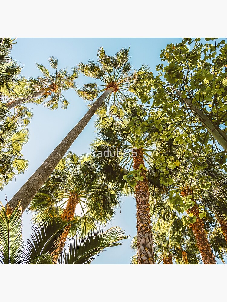 "Palm Trees, Summer Beach Vibes, Travel Print, Palm Tree Coconut Leaves ...