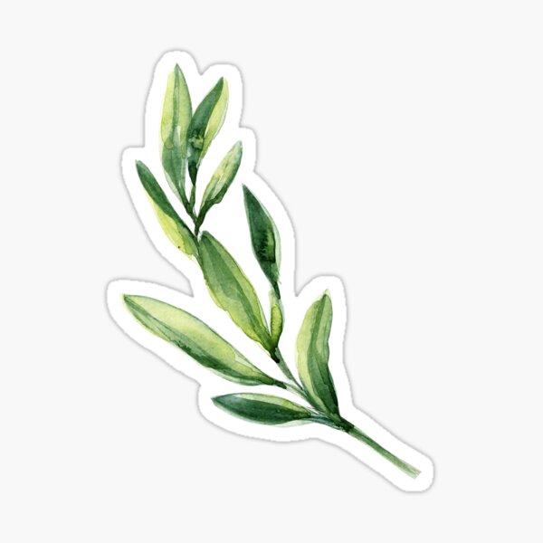 "Watercolour twig" Sticker for Sale by slvx | Redbubble