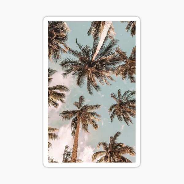 "palm trees 2" Sticker for Sale by stelabora | Redbubble