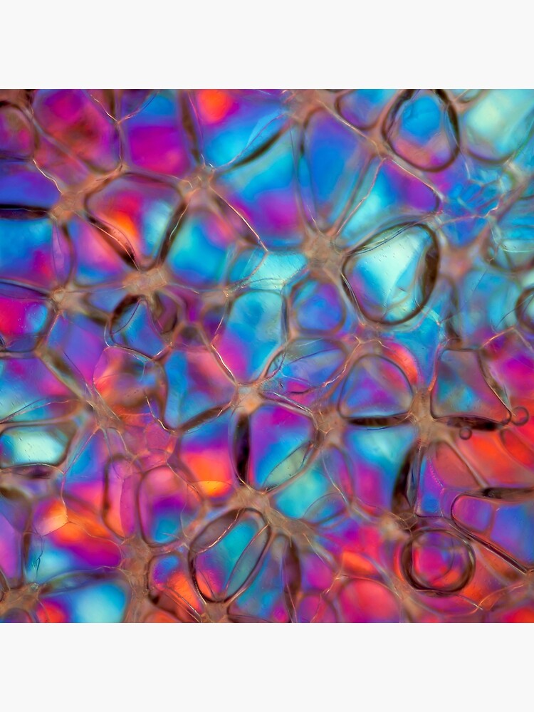 Rose stem section microscope photo - plant cells - botanical Premium ...