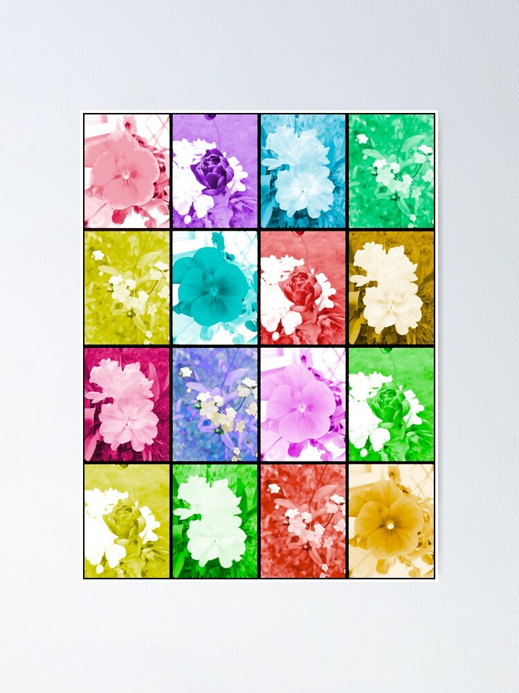 Rainbow Flower Collage