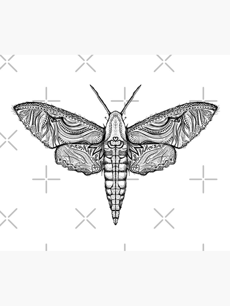 "Sphingidae hawk-moths art graphic" Poster for Sale by Pan-Print ...