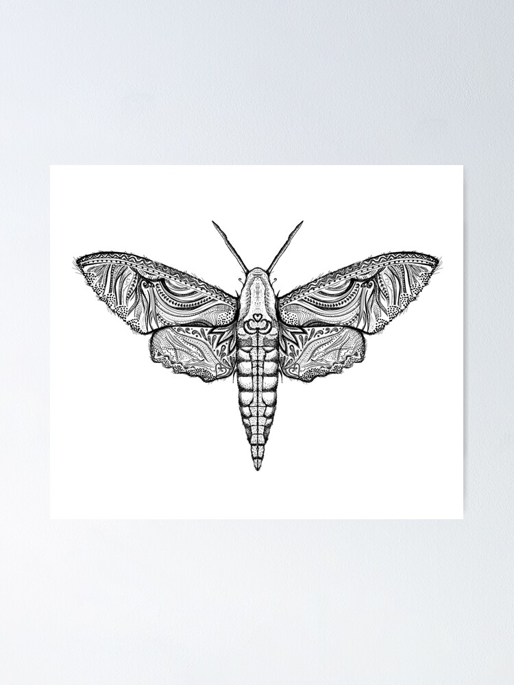 "Sphingidae hawk-moths art graphic" Poster by Pan-Print | Redbubble