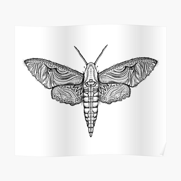 "Sphingidae hawk-moths art graphic" Poster for Sale by Pan-Print ...