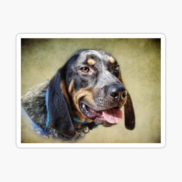 "Blue Tick Baby" Sticker by vigor | Redbubble