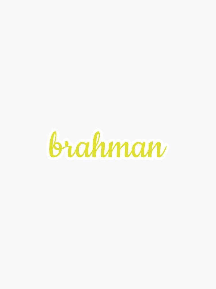 "brahman cattle sticker" Sticker for Sale by avakaskela | Redbubble
