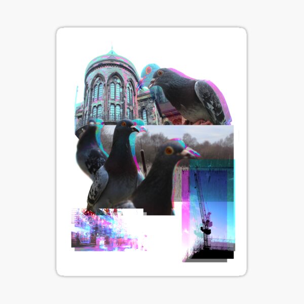 "Trippy Pigeons " Sticker by rgb-png | Redbubble