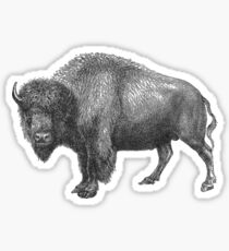 Buffalo Stickers | Redbubble