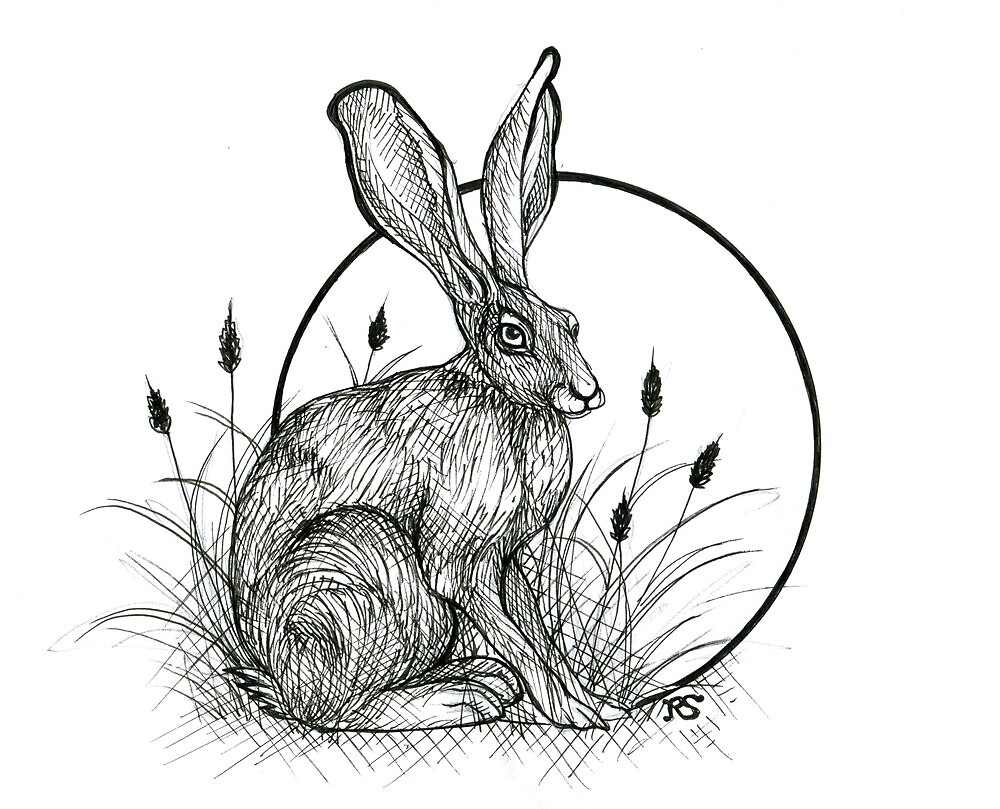 "Jack Rabbit " by Rose Swenson | Redbubble