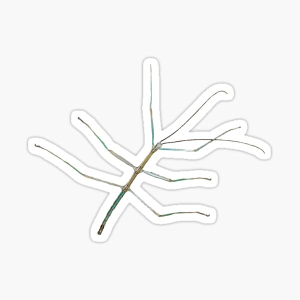Walking Stick Stickers | Redbubble