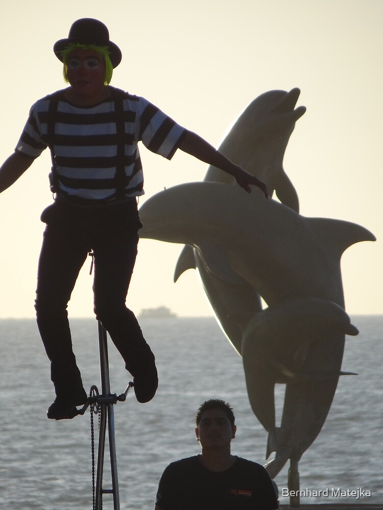 "The Clown, The Tourist And The Dolphins - El Payaso, El Turista Y Los ...