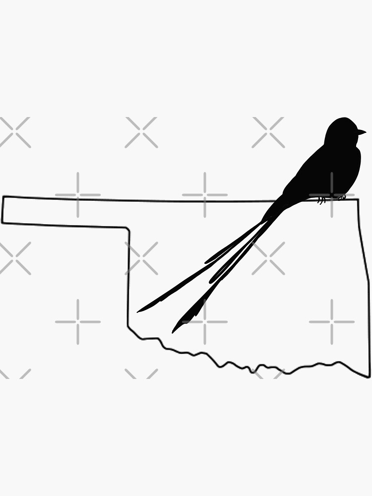 "Scissortail Flycatcher" Sticker for Sale by ColibriDesigns | Redbubble