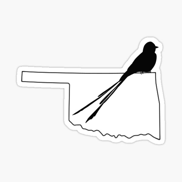 "Scissortail Flycatcher" Sticker for Sale by ColibriDesigns | Redbubble
