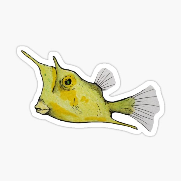 "Cowfish" Sticker for Sale by psdutt | Redbubble