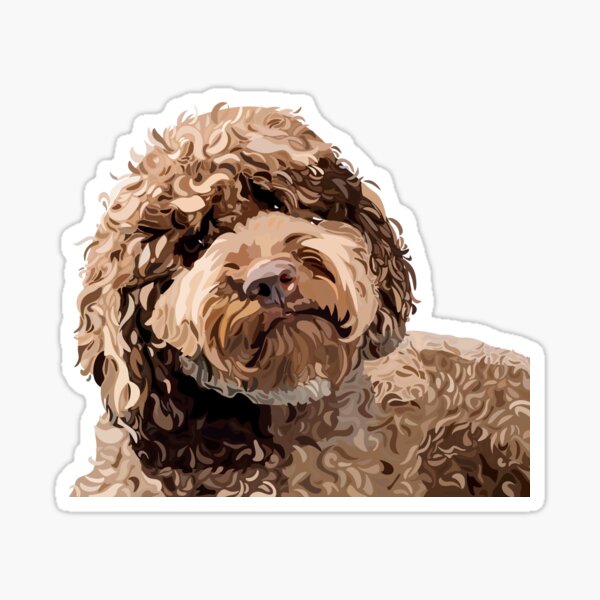 "Labradoodle" Sticker by MurphyBDesigns | Redbubble